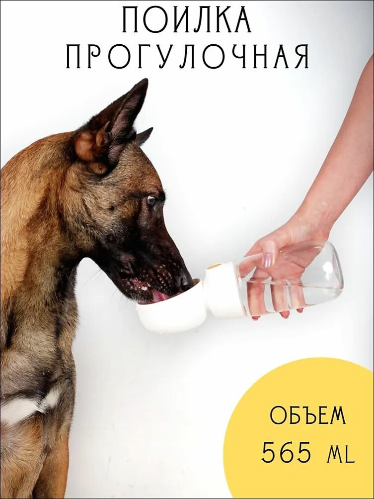 Поилка для собак прогулочная, молочный 1 шт. Переносная поилка для собак на прогулку: