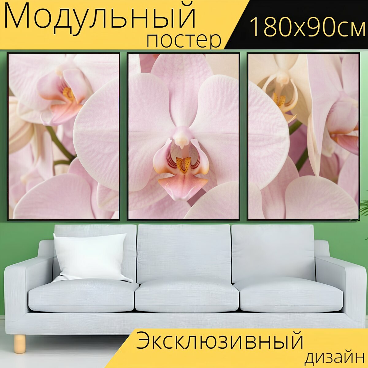 Модульный постер "Нежные орхидеи пастельных оттенков. Крупный план изящных цветов в мягкой пастельной гамме: светло-розовые и кремовые." 180 x 90 см. для интерьера на стену в тубусе