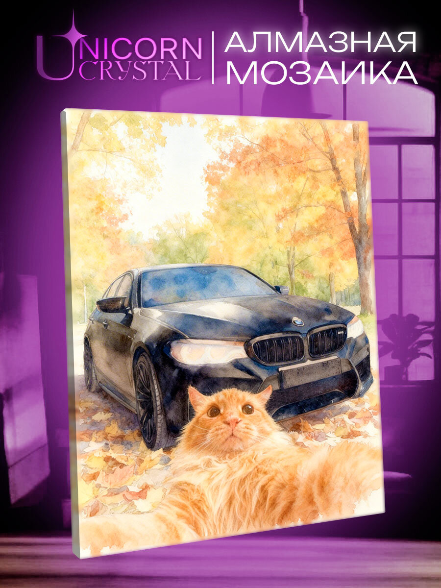 Алмазная мозаика Машина и Кот