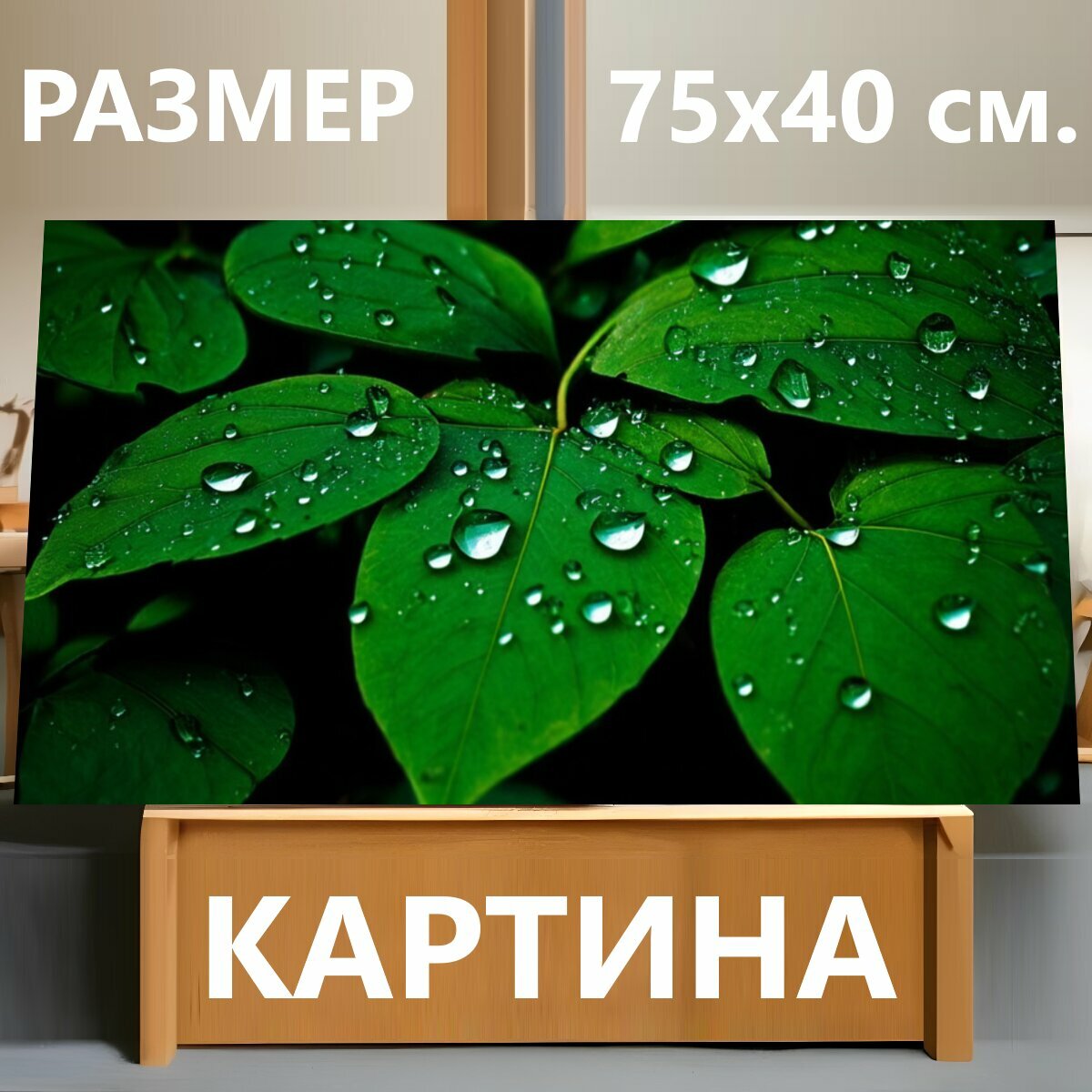Картина на холсте "Листья темно-зеленого цвета с каплями воды на поверхности, крупный план, натуральный фон, тени и текстуры листьев." на подрамнике 75х40 см. для интерьера