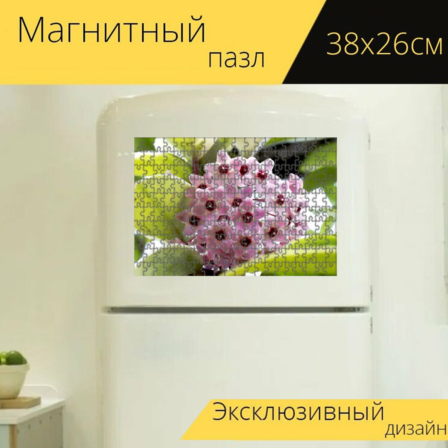 Магнитный пазл "Хойя, цветок, хойя белла" для интерьера, 38х26 см.