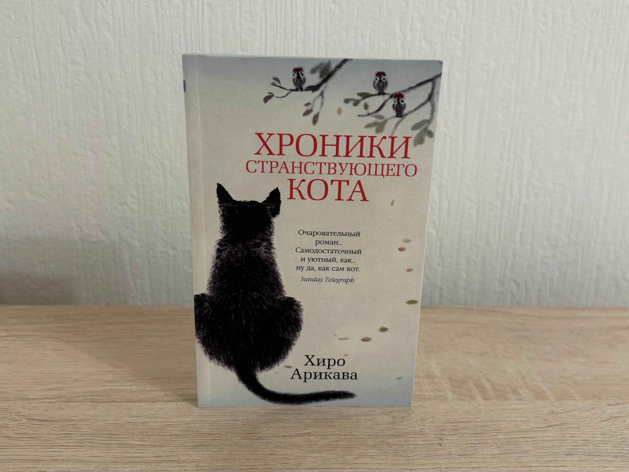 Хроники странствующего кота (роман), 2023 г