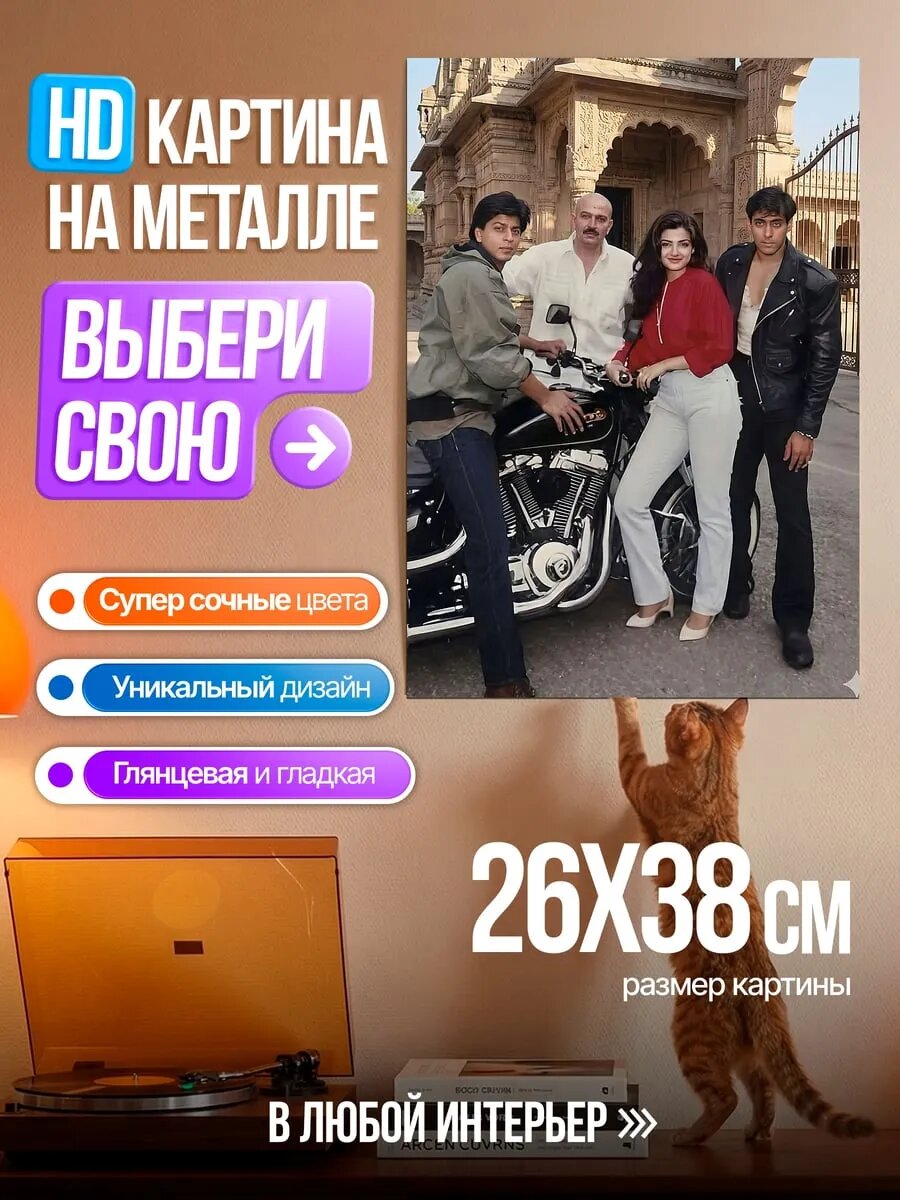 Картина на HD металле Индийская группа