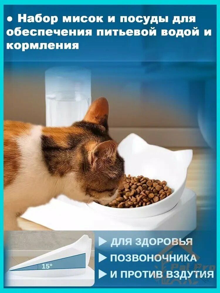 Миска для животных — фото 1