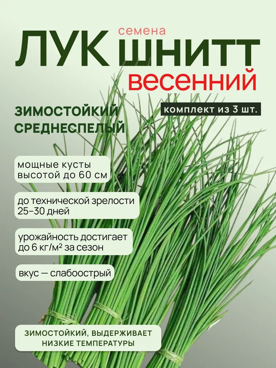 Семена лука Аэлита Агрофирма "Весенний", зимостойкий, для горшечной культуры, 3 уп.