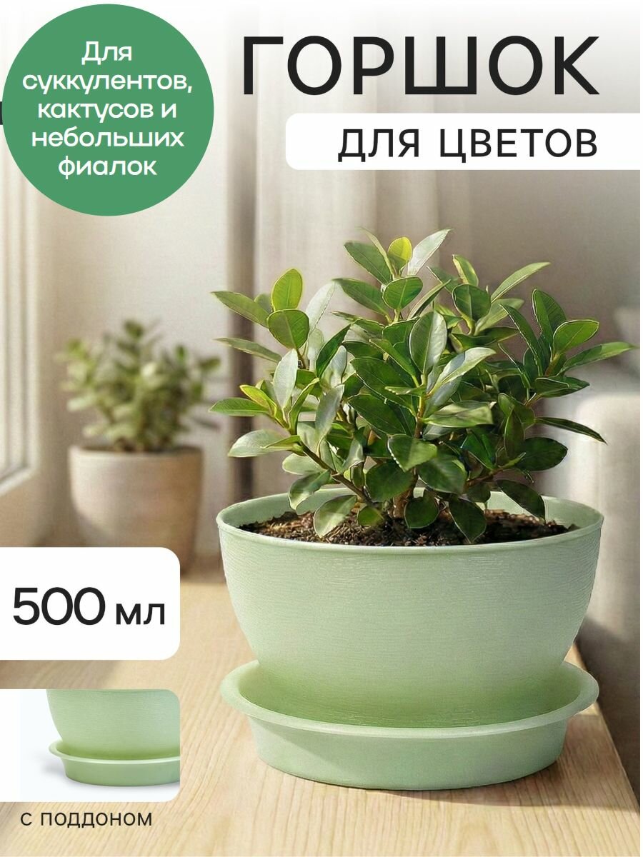 Горшок для цветов 0,5 л, пластиковый, зеленый, с поддоном, для фиалок и суккулентов