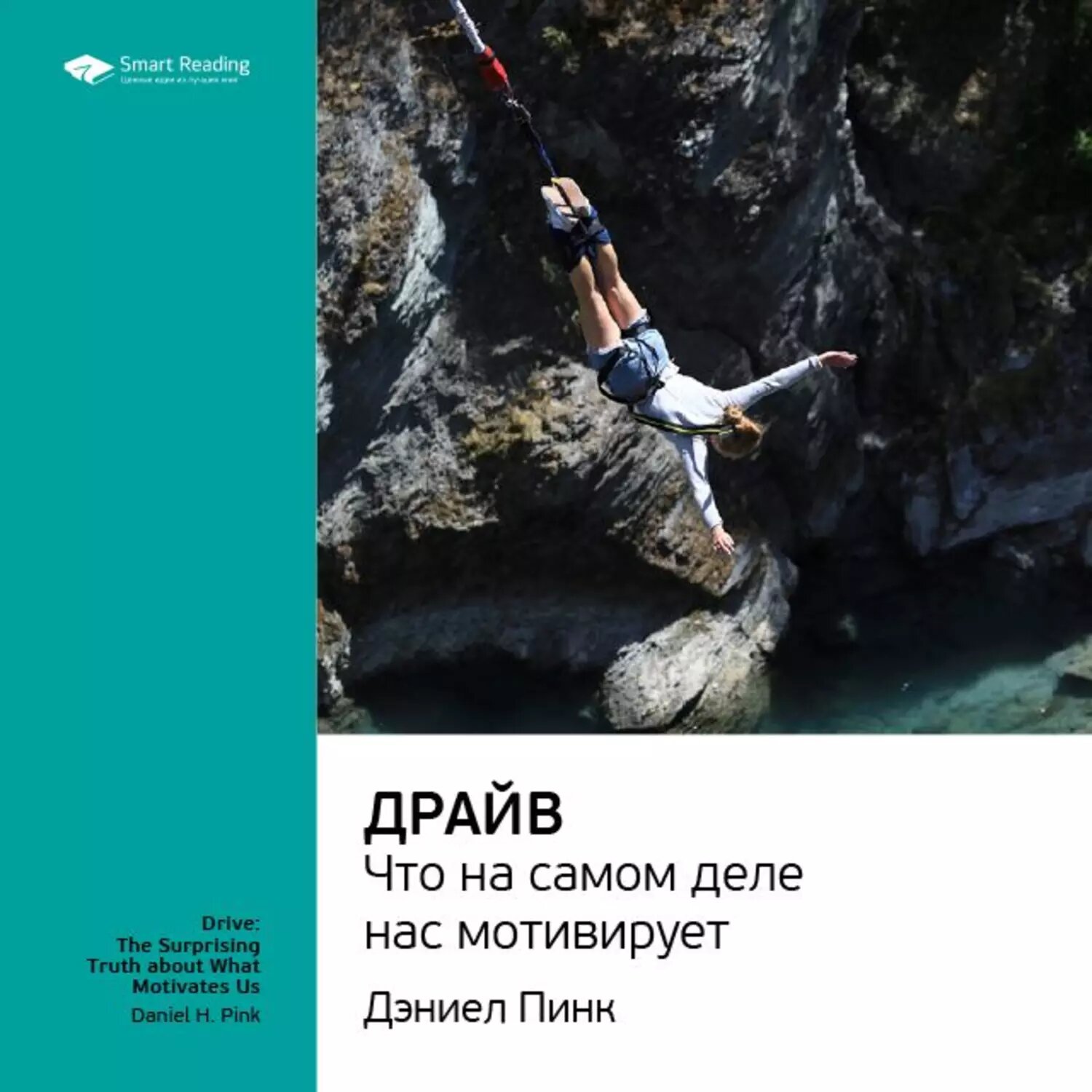 Ключевые идеи книги: Драйв. Что на самом деле нас мотивирует. Дэниел Пинк [Аудиокнига]