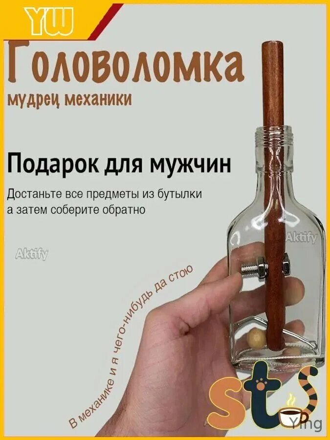 Металлическая головоломка Мудрец механики