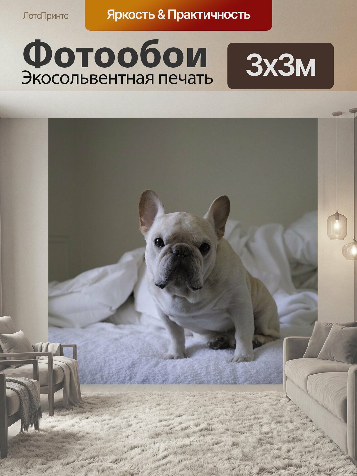 Фотообои "Собака, мило, французский бульдог" 300x300 см. экосольвентная печать