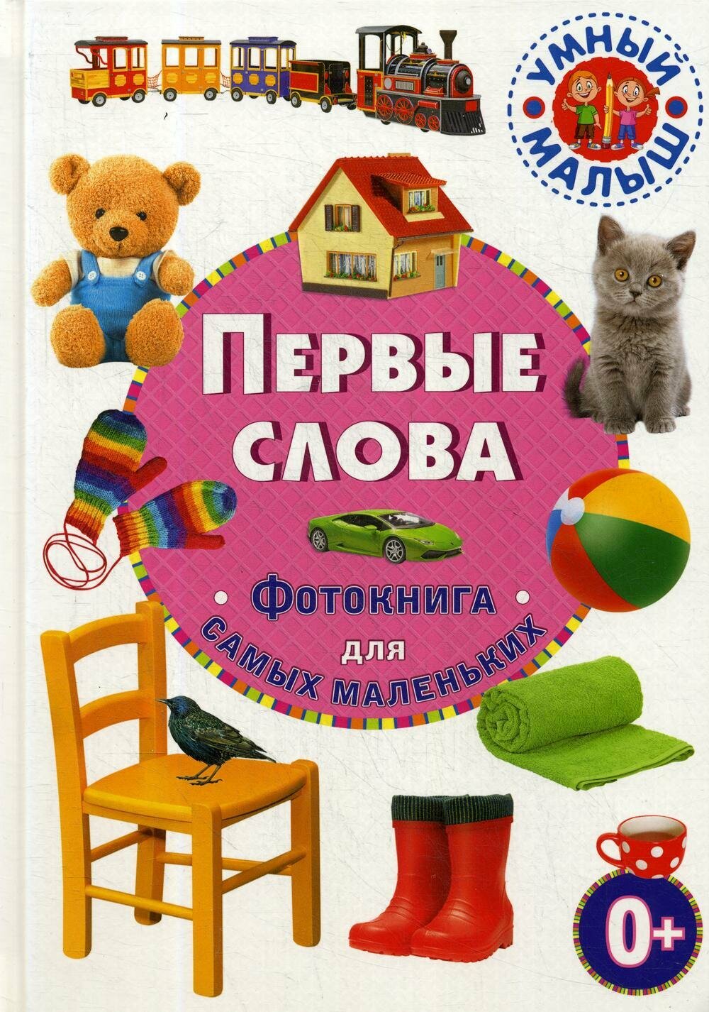 Первые слова. Фотокнига для самых маленьких. Владис