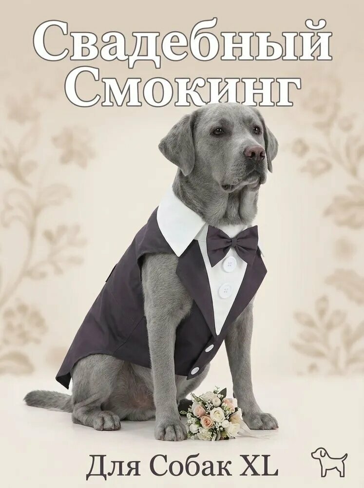 Свадебный костюм для собаки смокинг с бабочкой, легкий комфортный, полиэстер, размер xl