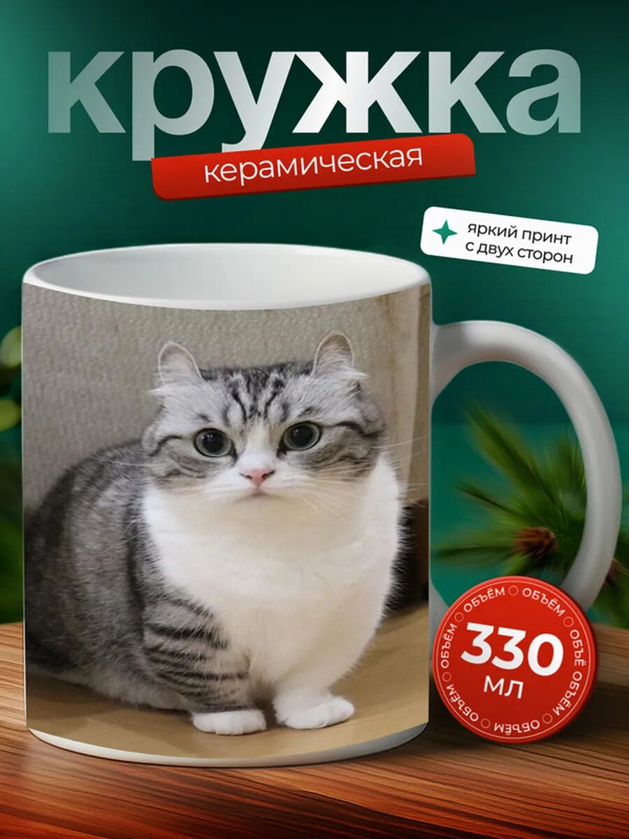 Кружка Канаани кот 7,