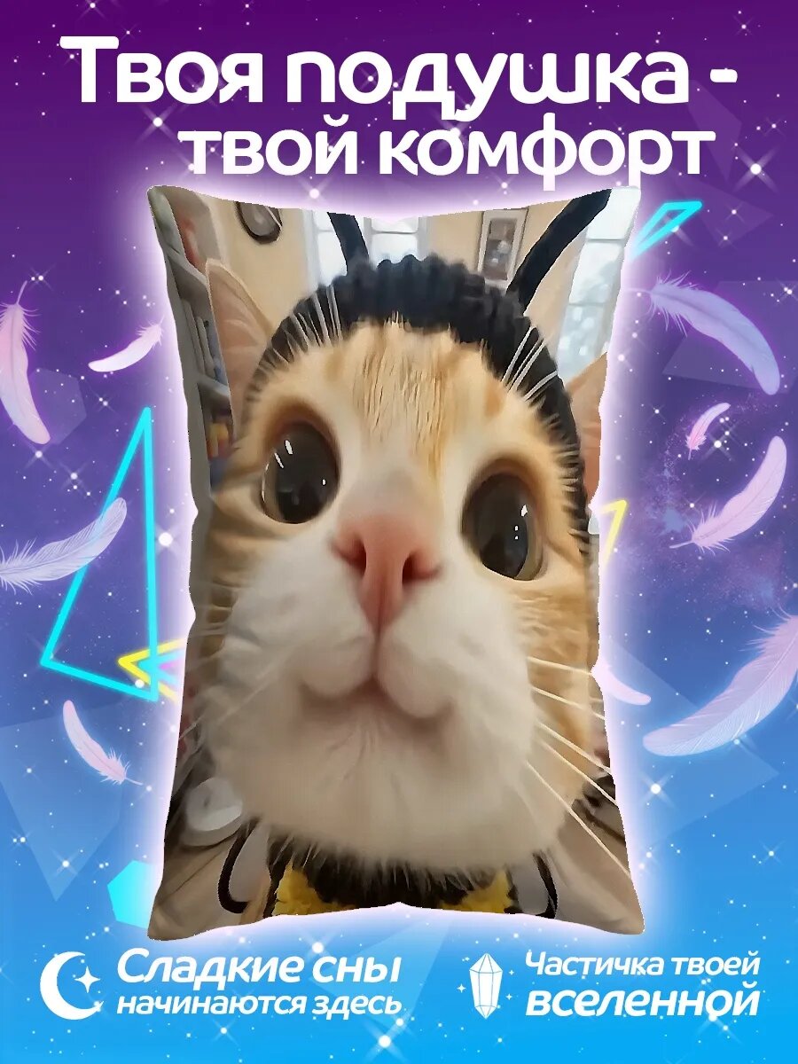 Подушка дакимакура Кот пчелка