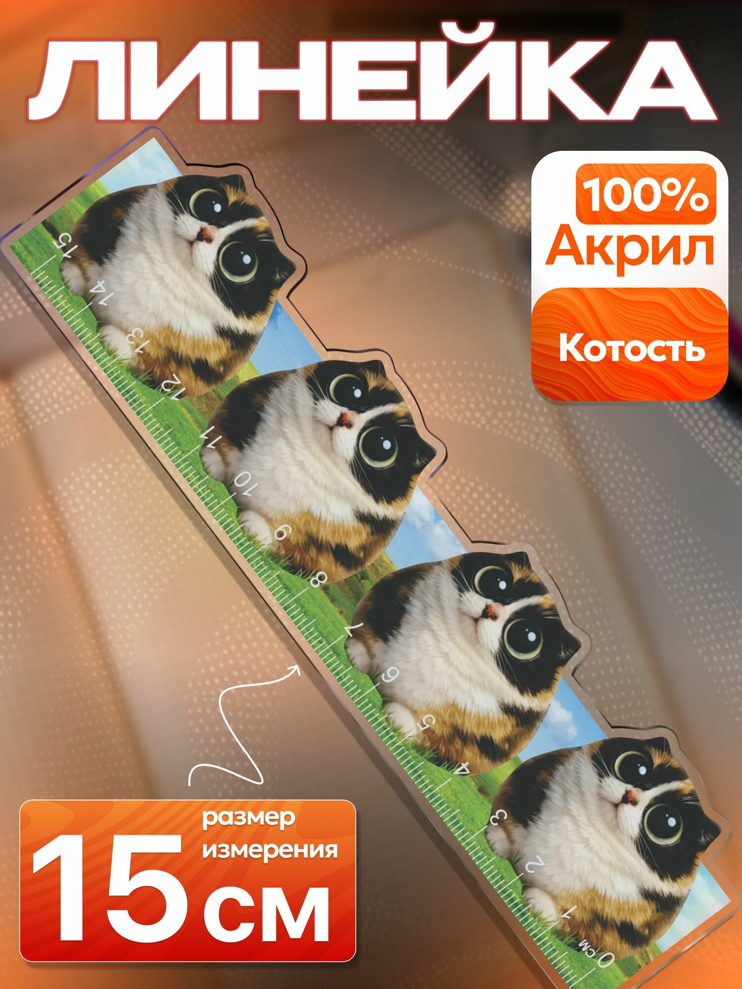 Линейка прикольная Котость