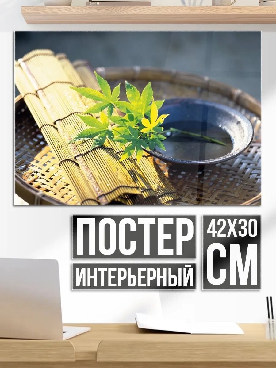 Плакат постер бамбуковый лист