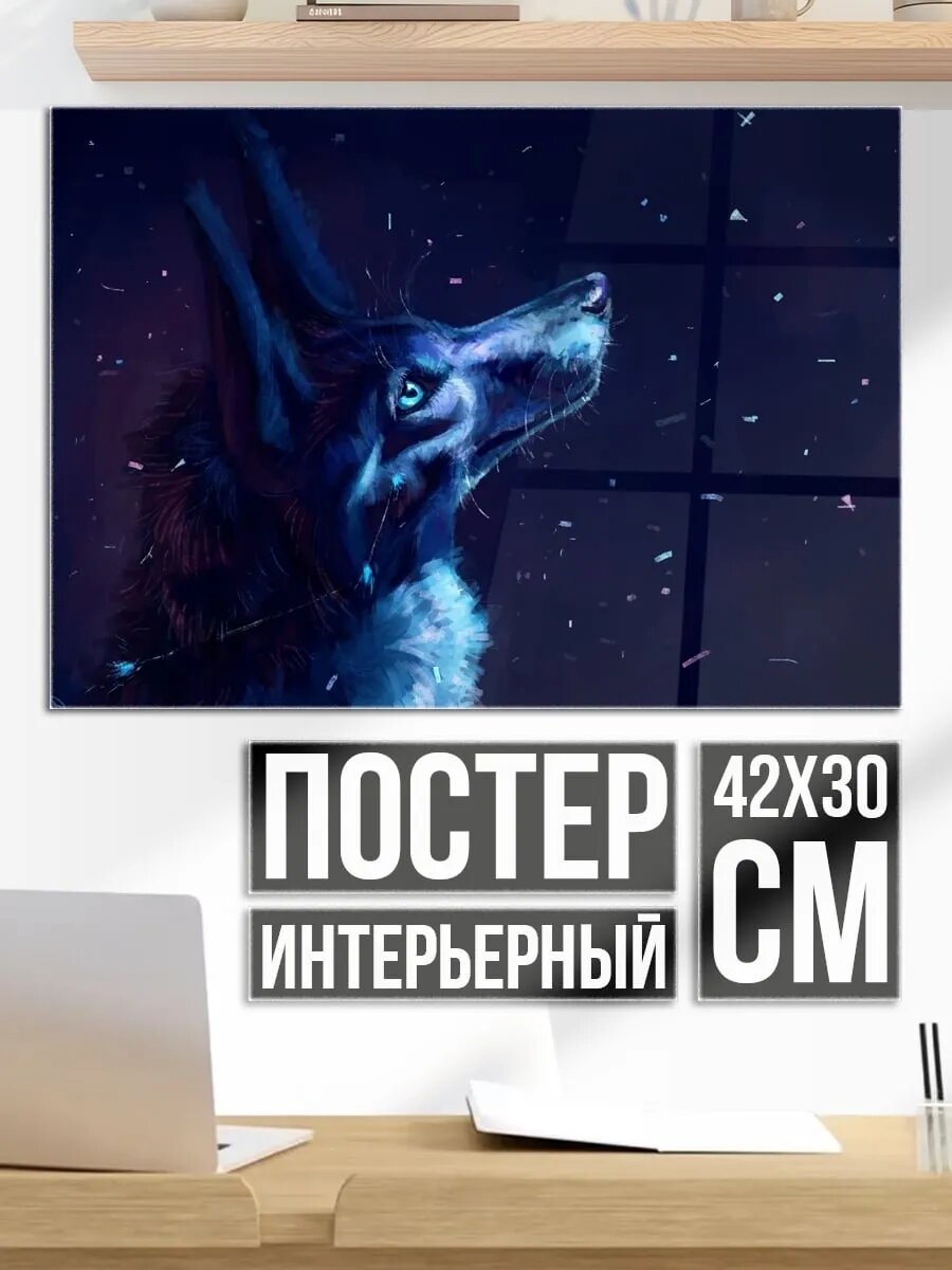 Плакат постер Синий Волк Ночь