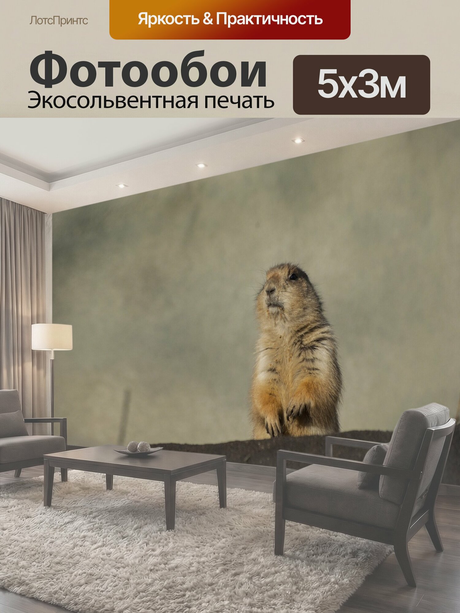 Фотообои "Луговая собачка, зоопарк, дикий" 500x300 см. экосольвентная печать
