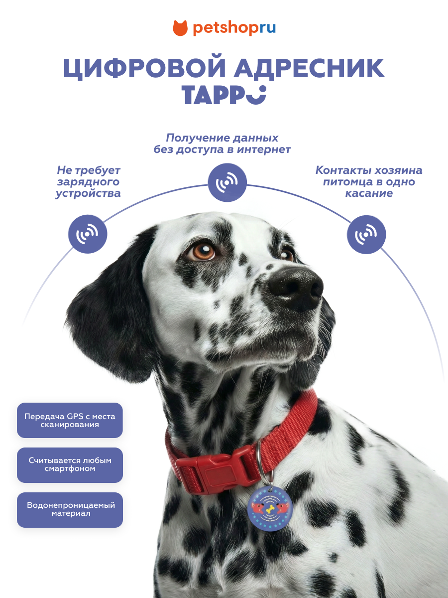 Tappi Игрушка Адресник для собак и кошек цифровой, синий 3х3 см