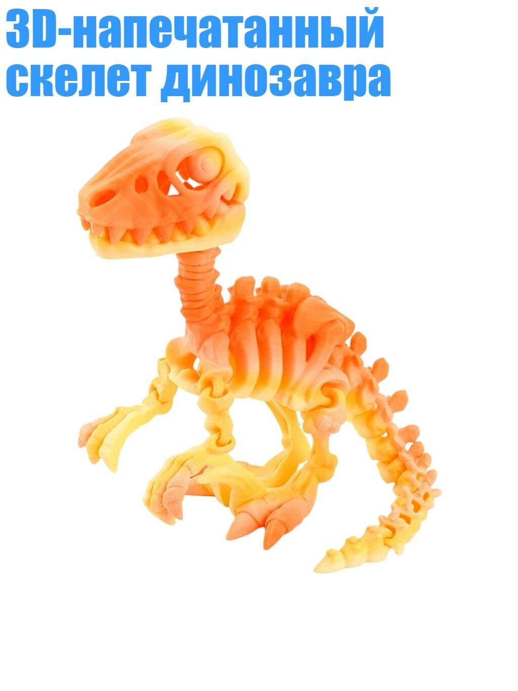 3D-напечатанный скелет динозавра, мини - 7