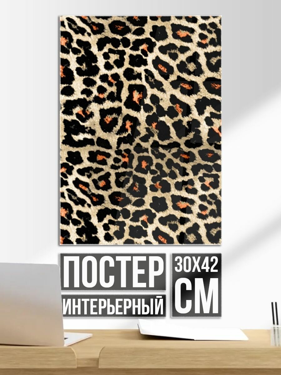 Постер на стену Шкура ягуара, гепарда, леопарда