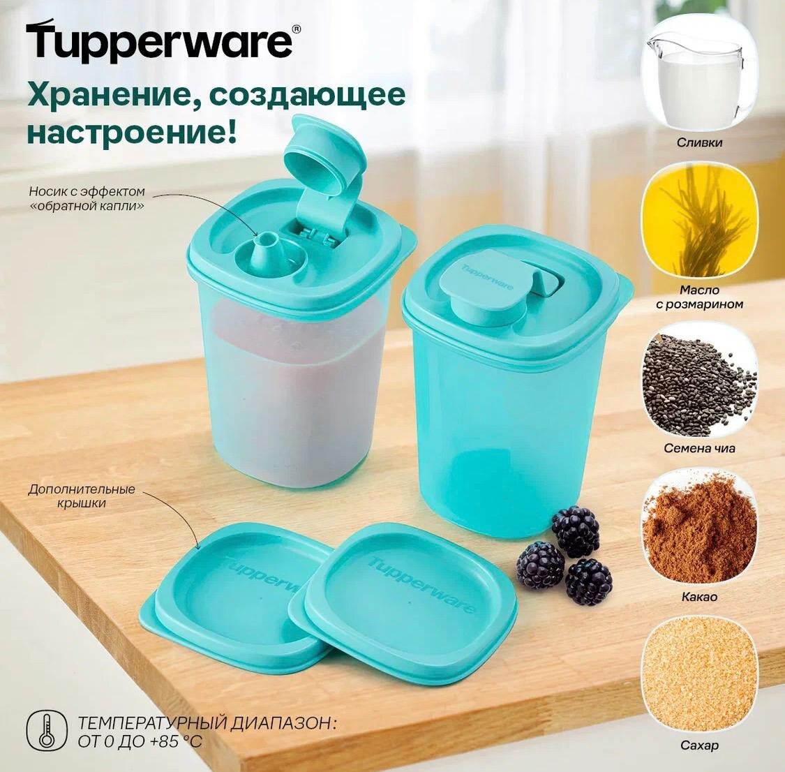 Компактусы "Организатор" (410 мл), 2 шт Tupperware