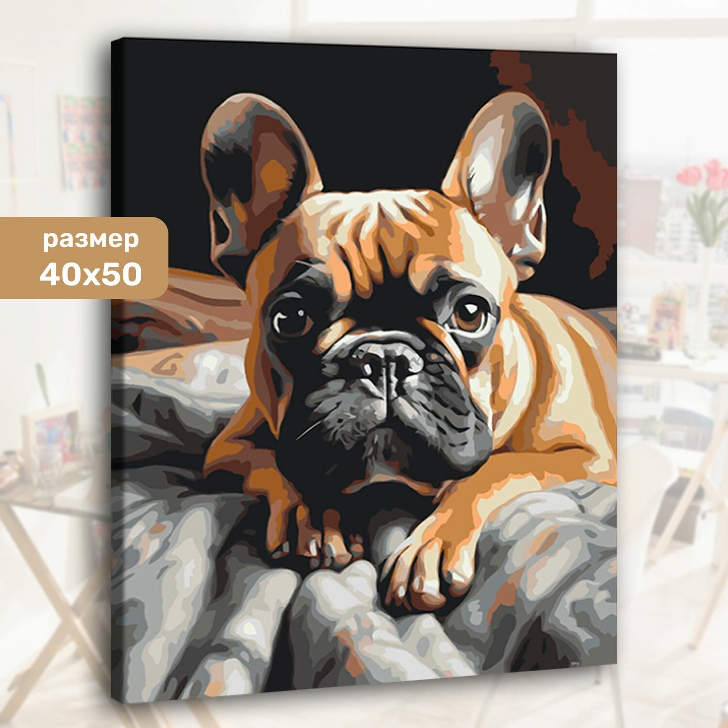 Картина по номерам, на холсте с подрамником 40х50, французский бульдог рыжий