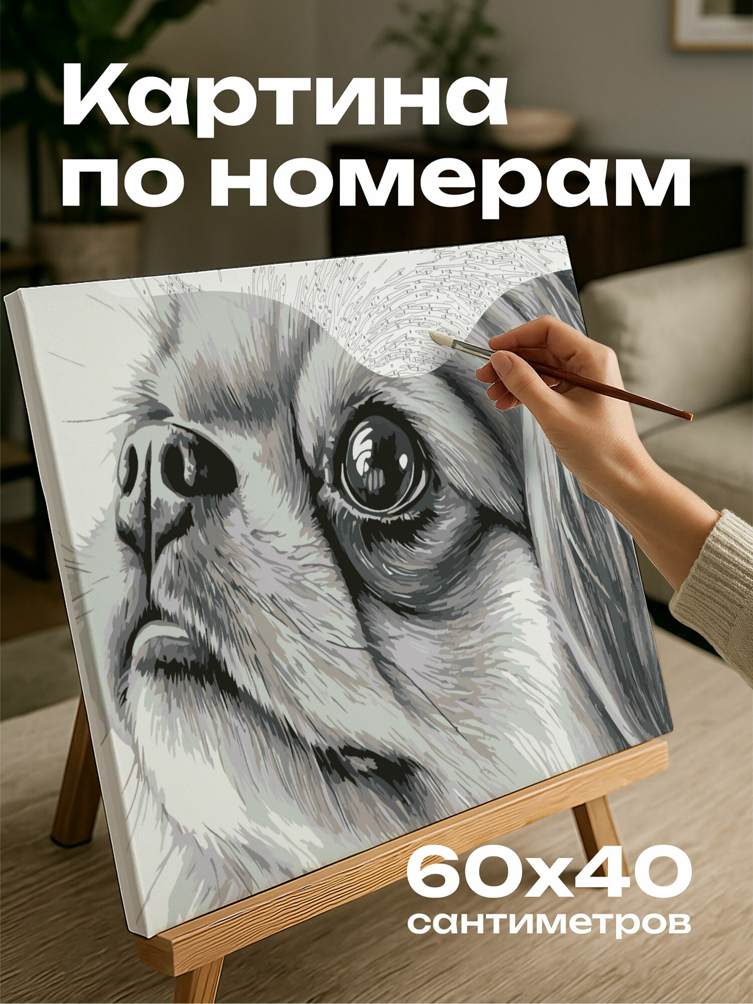Картина по номерам 60x40 см, пекинес, карандашный набросок, мягкая шерсть, черты лица, выразительные глаза