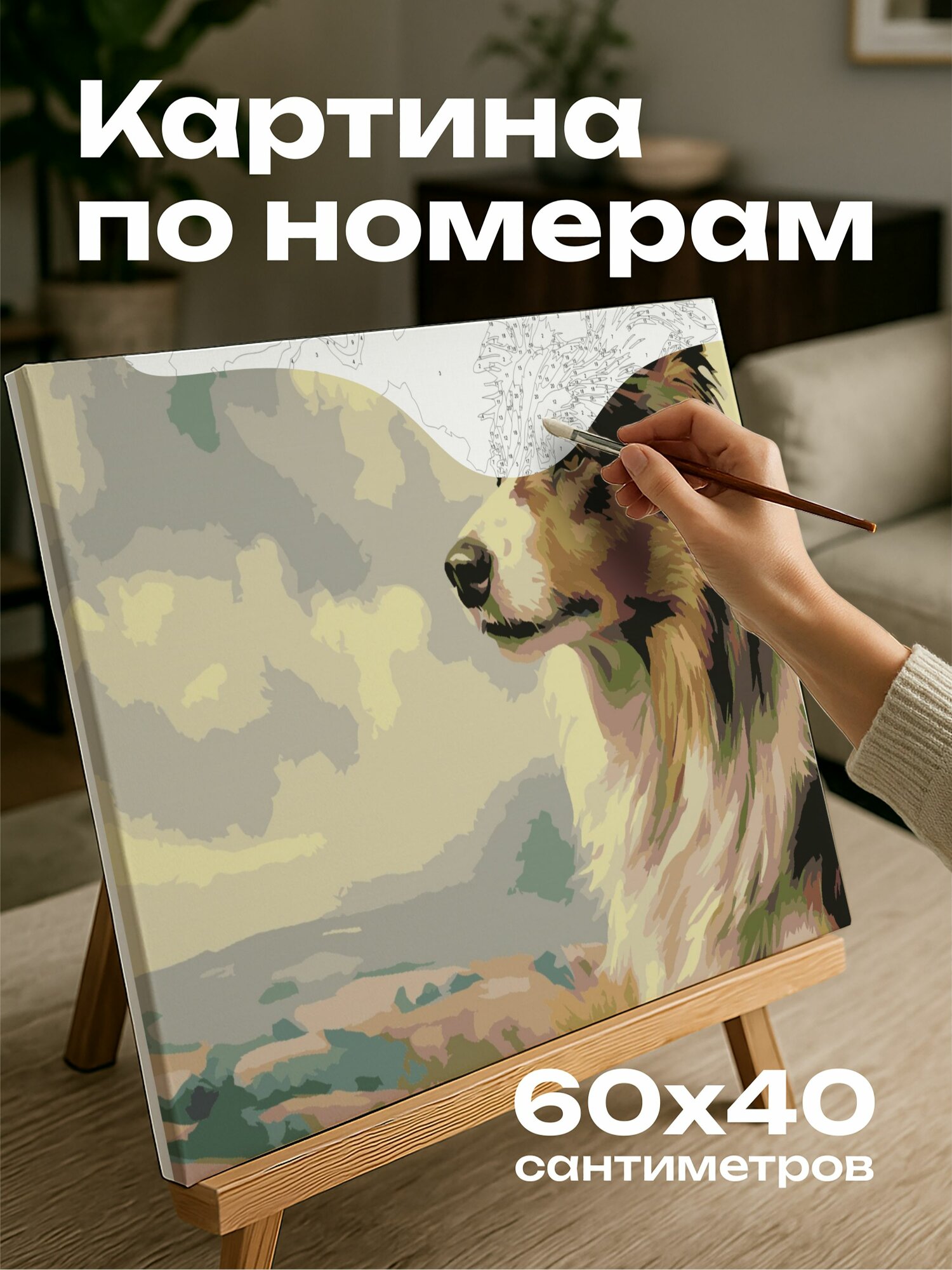 Картина по номерам 60x40 см, колли, масляная картина, глаза, выражение лица, зеленые холмы, ясное небо, интеллект