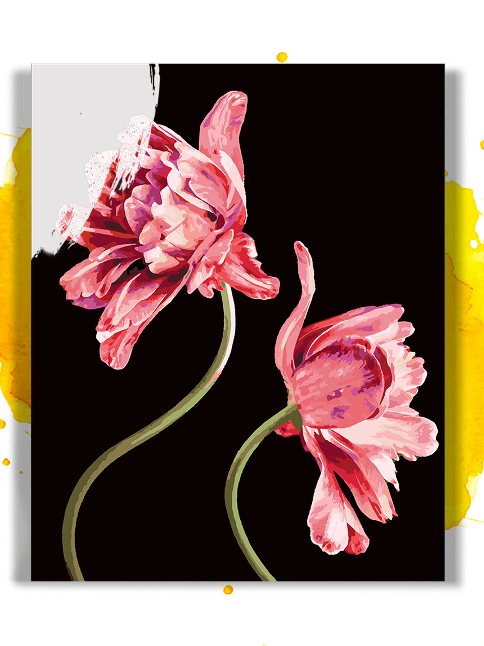 Картина по номерам на холсте Тюльпаны на черном фоне, 30 х 40 см