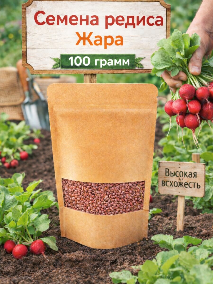 Семена редиса Жара 100 г , раннеспелый сорт , высокая всхожесть , быстрый урожай , для открытого грунта и теплиц