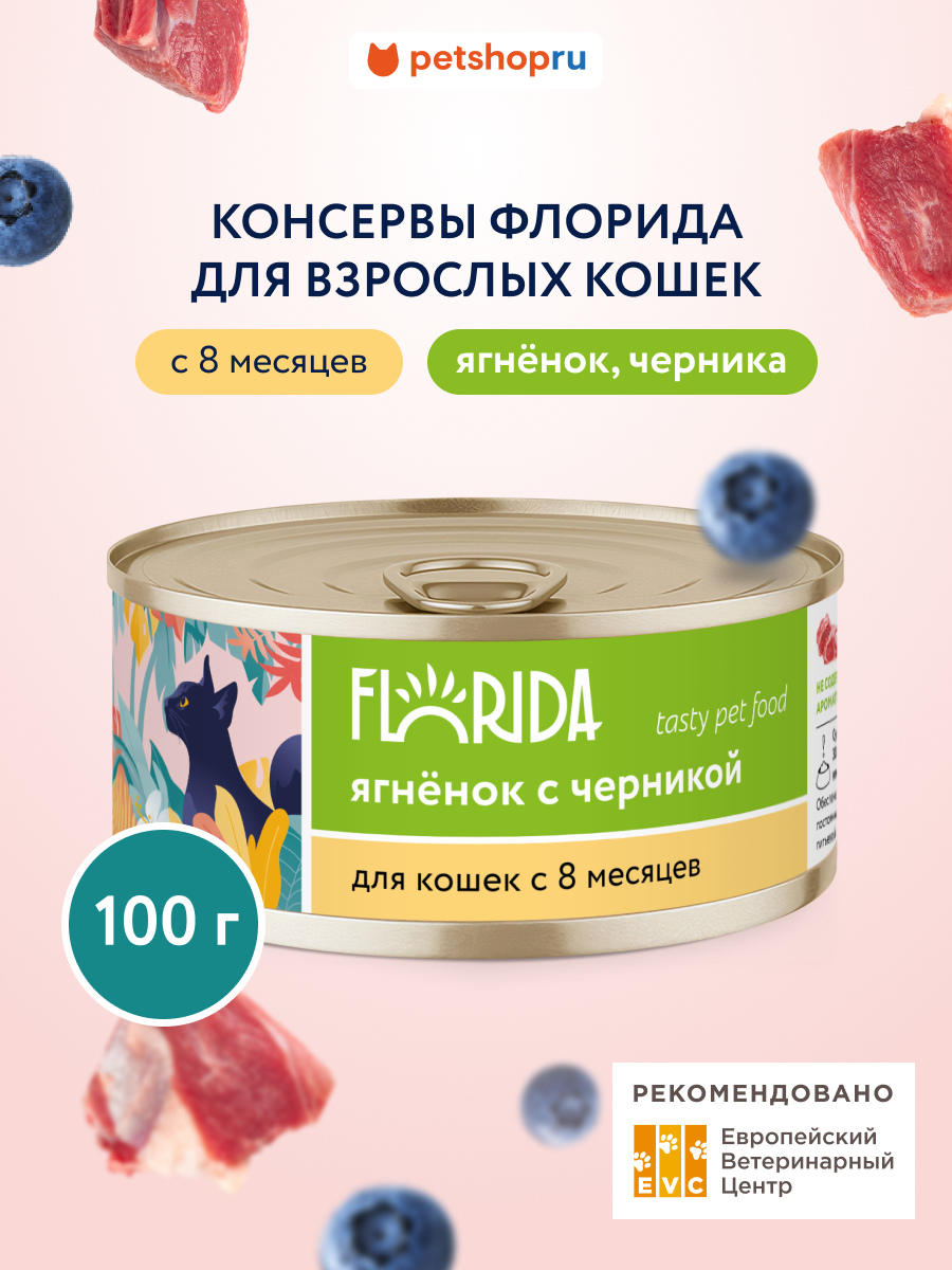 FLORIDA Консервы для кошек, ягненок с черникой, 1 шт, влажный корм, 100 г