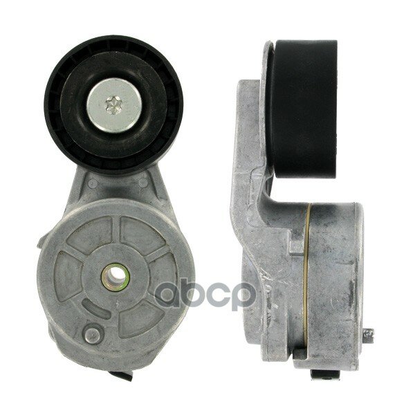 Натяжитель ремня Skf арт. VKMCV56009