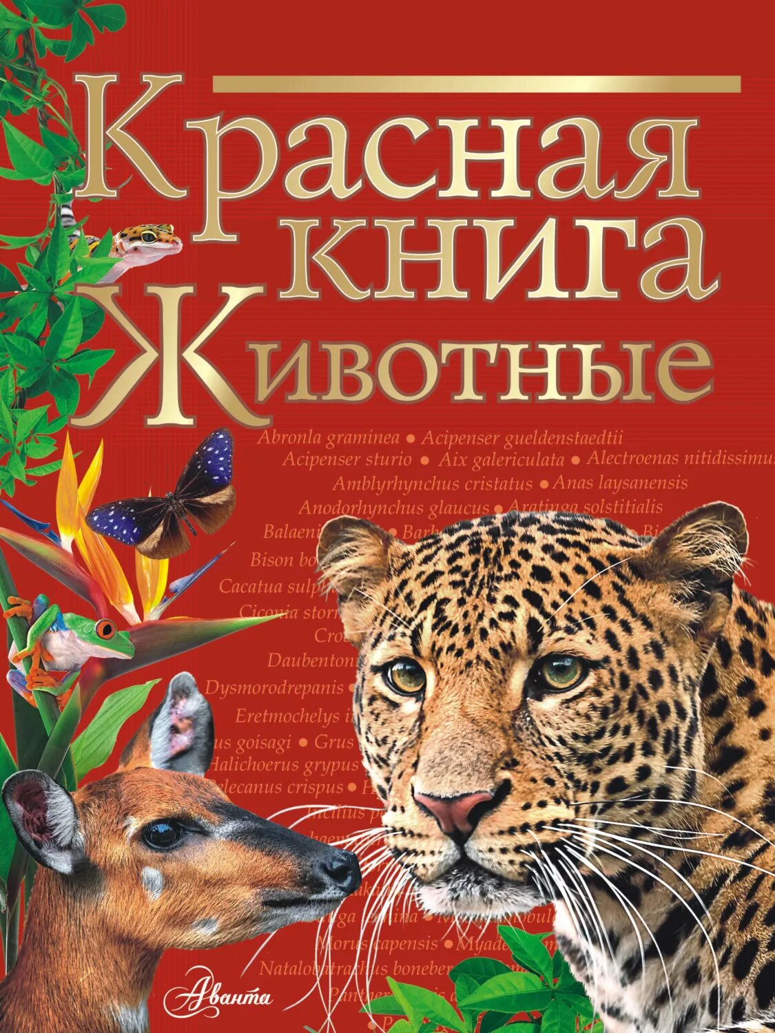 Красная книга мира. Животные [Цифровая книга]