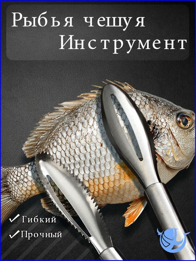 Рыбочистка из нержавеющей стали, нож для чистки рыбы, чистилка для рыбы