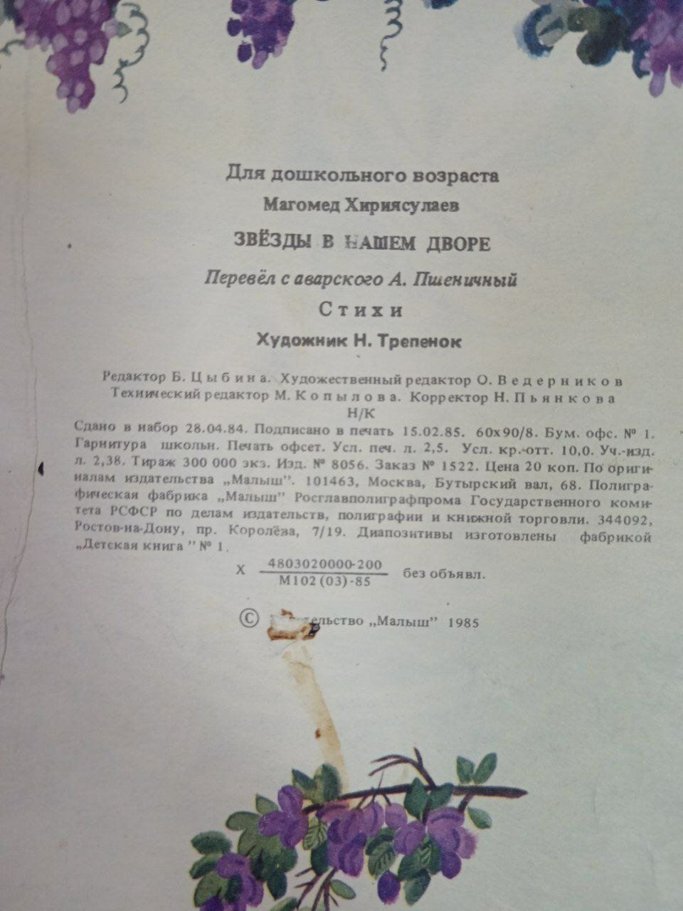 Звезды в нашем дворе — фото 1