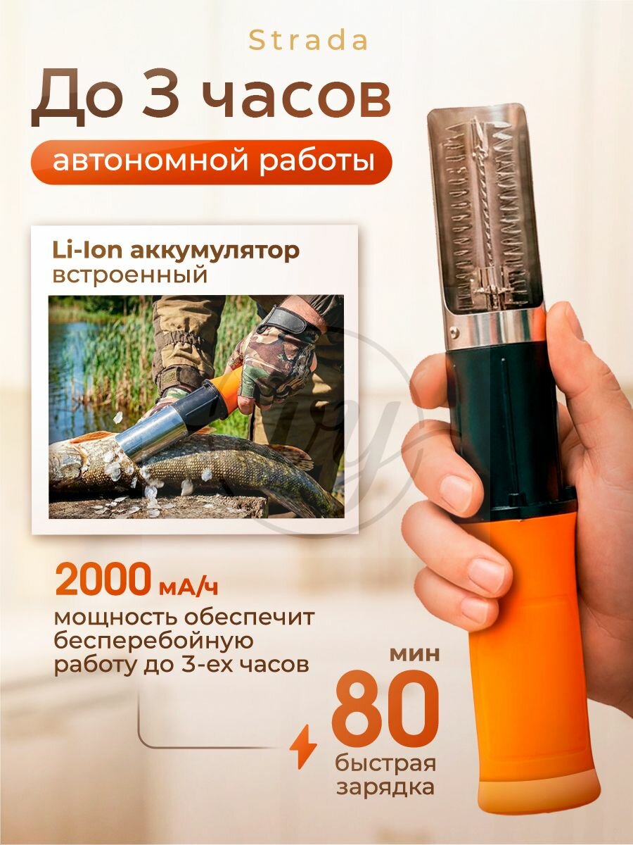 Рыбочистка — фото 1