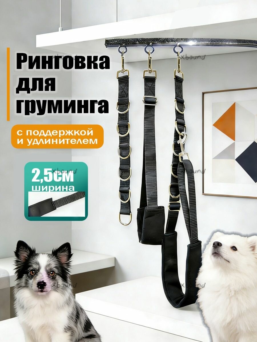 Ринговка для груминга с регулировкой / Подходит для ванной комнаты, стола / черное / для груминга собак