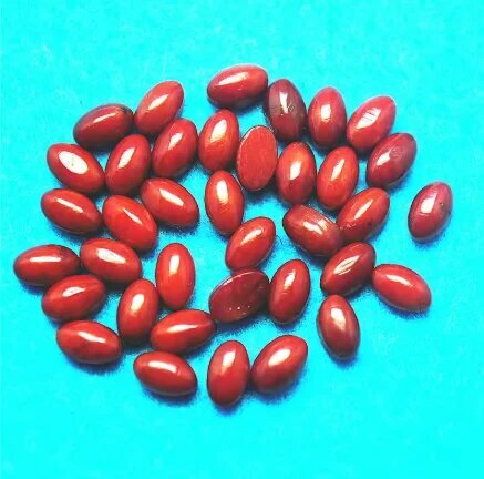 20 шт. розовых коралловых кабошонов 7 мм, 8 мм socharming red 3x5mm