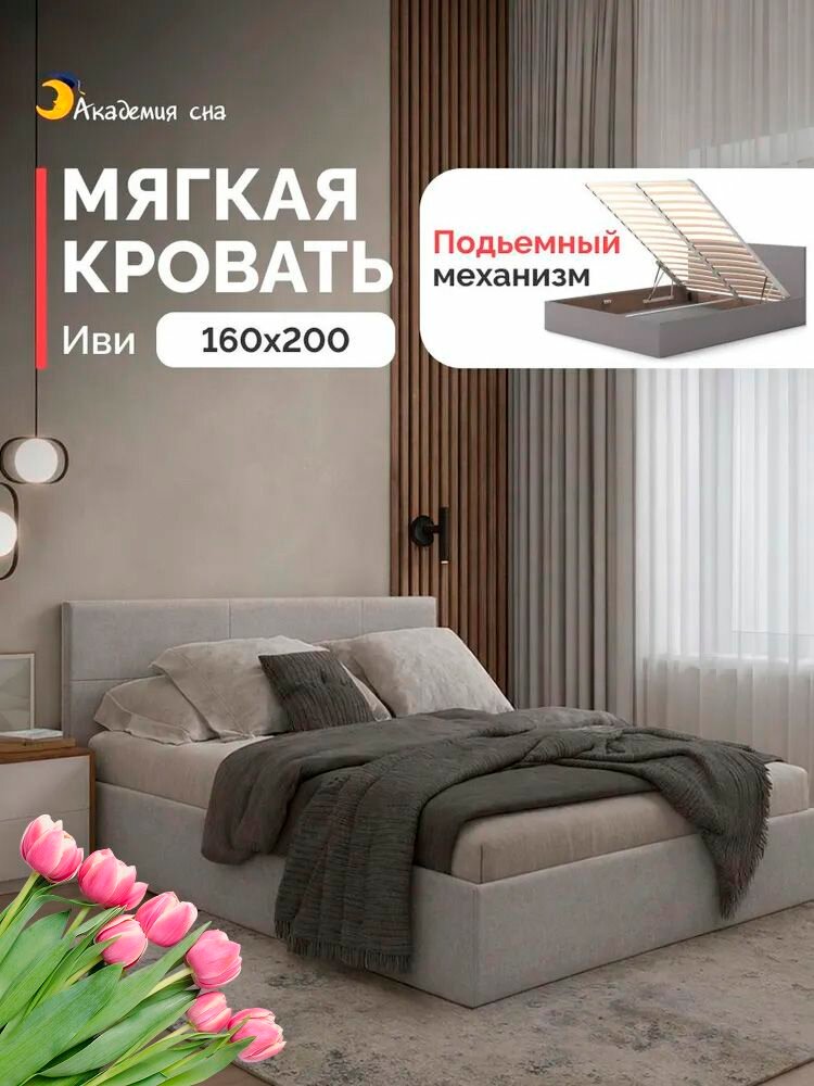 Кровать 160х200 двуспальная с подъемным механизмом Академия сна Иви Тк. Dumont 24