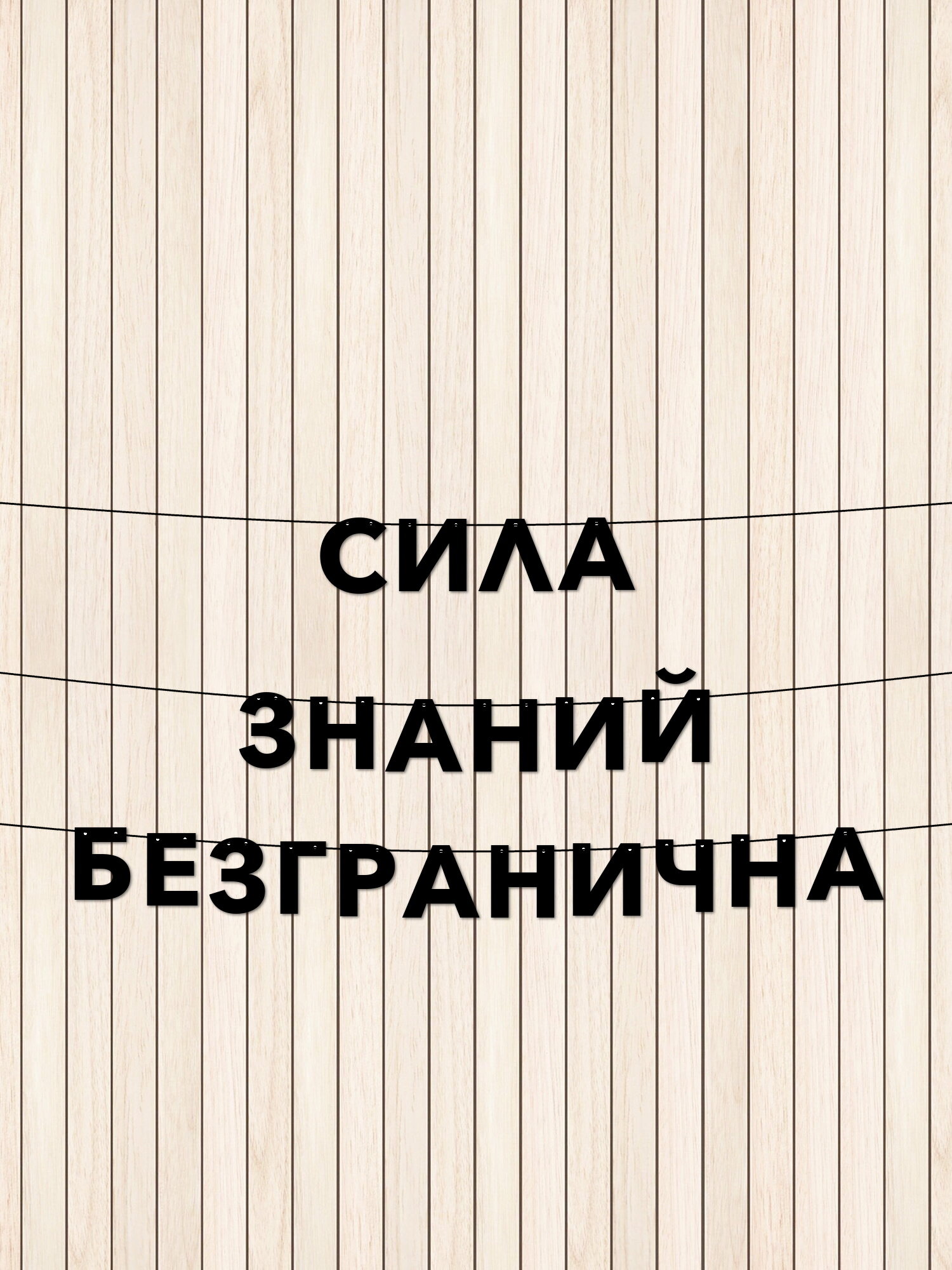 Интерьерная гирлянда для дома Сила знаний безгранична - идеальный эстетичный декор для комнаты, высота букв 10 см, толщина букв 1 мм, долговечный материал.