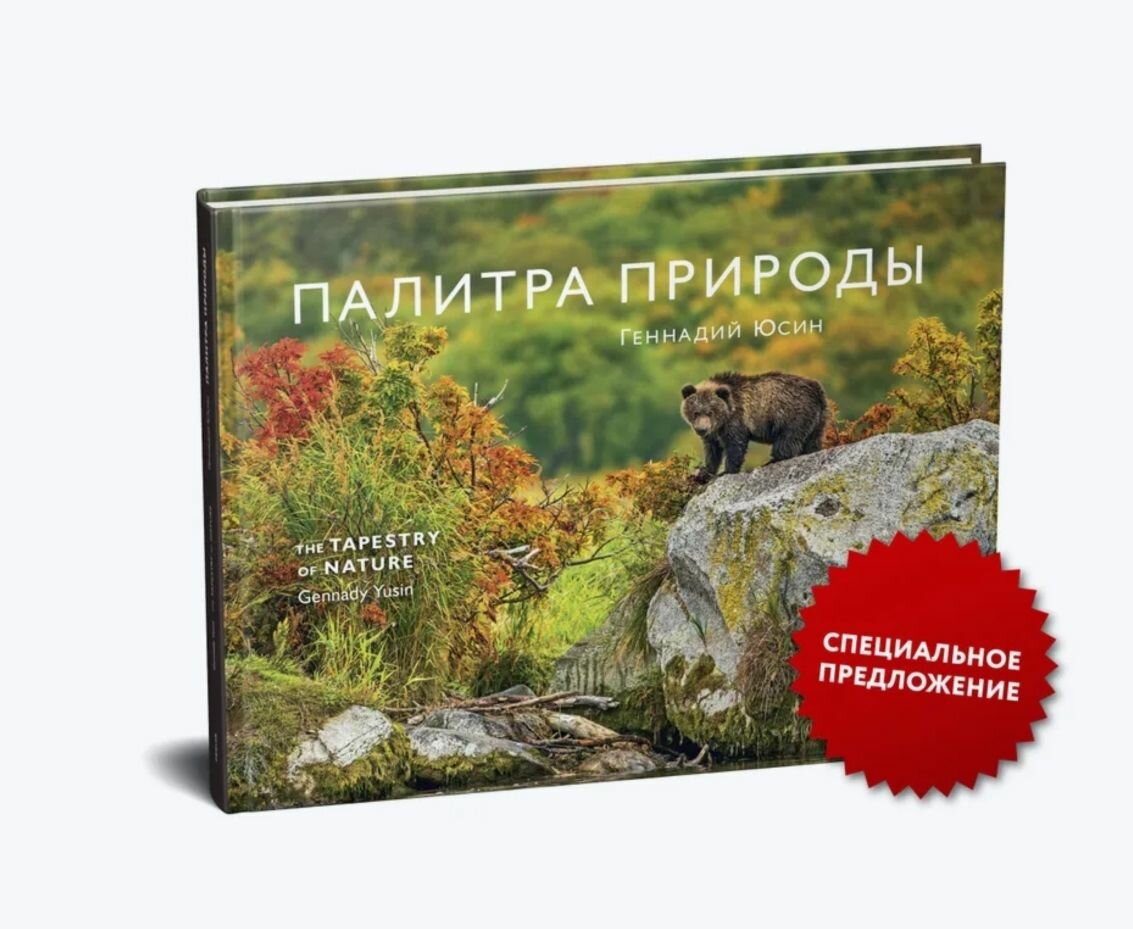 Палитра природы, Геннадий Юсин Юсин Геннадий