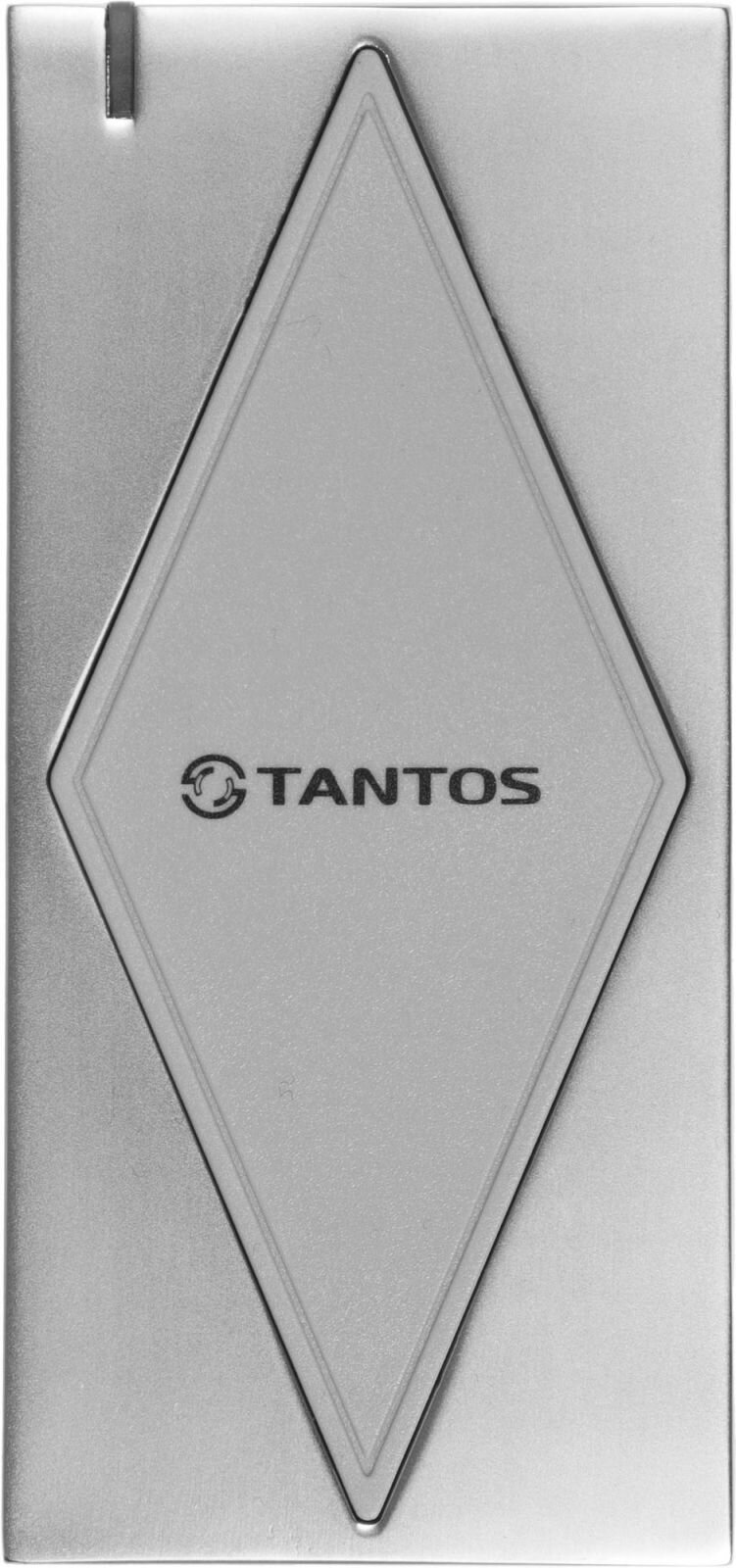 Считыватель карт Tantos TS-RDR-E внутренний, уличный, антивандальный (00-00043074)