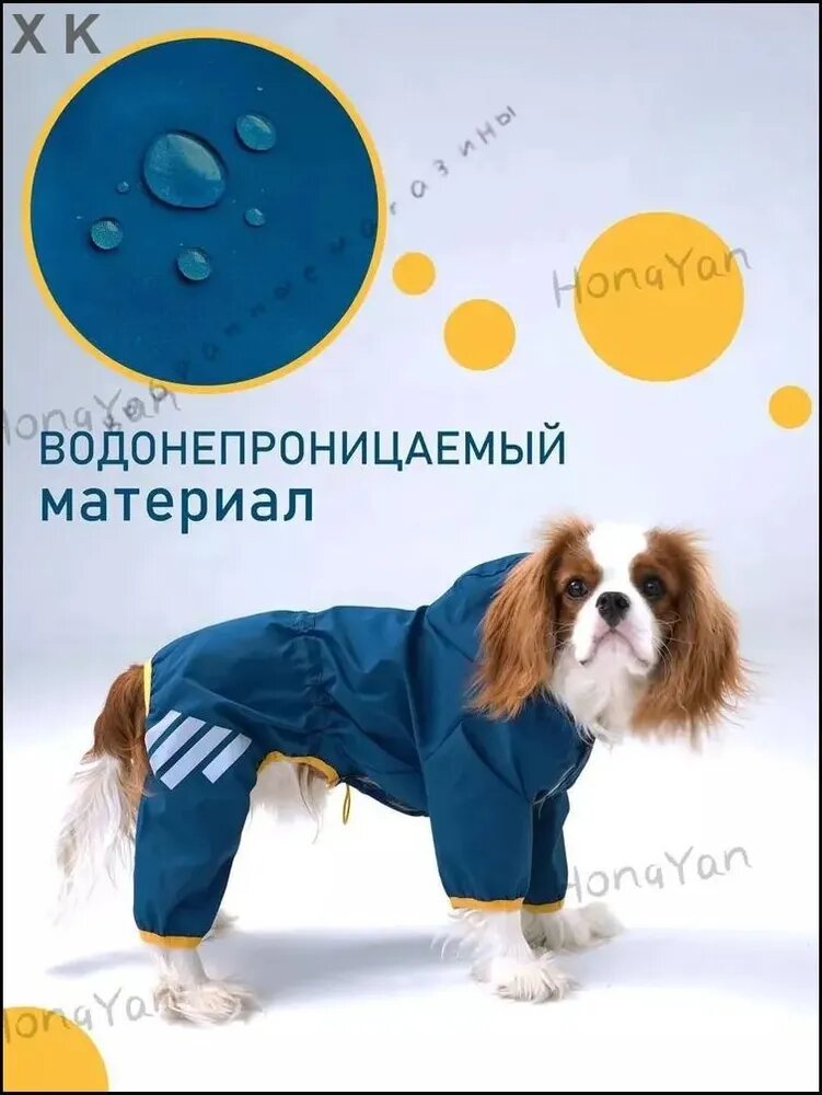 Дождевик для собак M синий полиэстер водоотталкивающий с капюшоном — фото 1