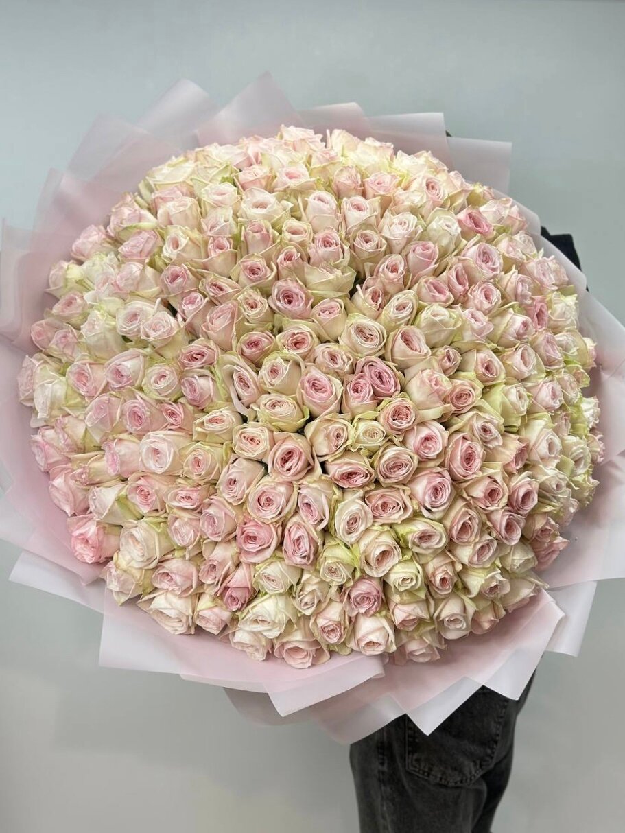 Букет "Большая любовь" из пионовидной ароматной розы "Вайт Охара" 201 шт.