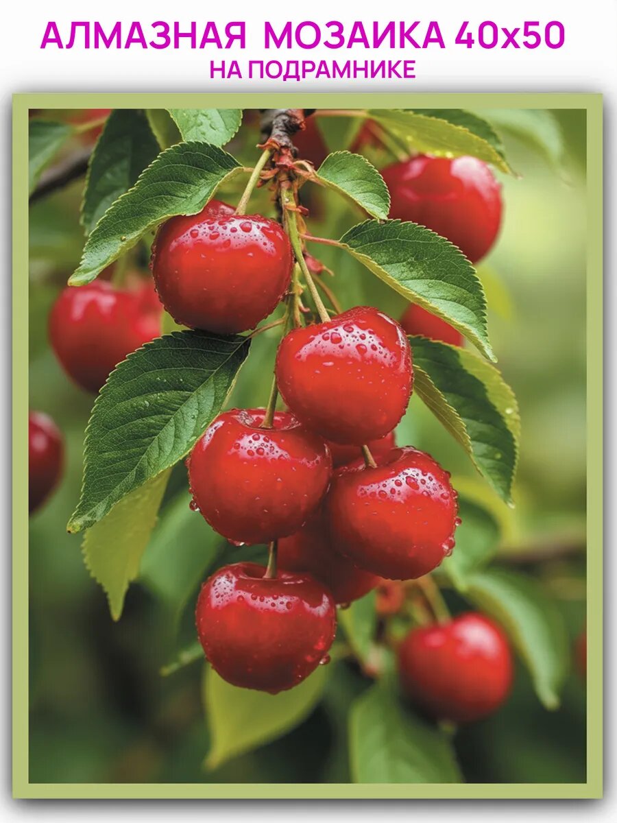 Алмазная мозаика 40х50 на подрамнике Ягоды RWA091