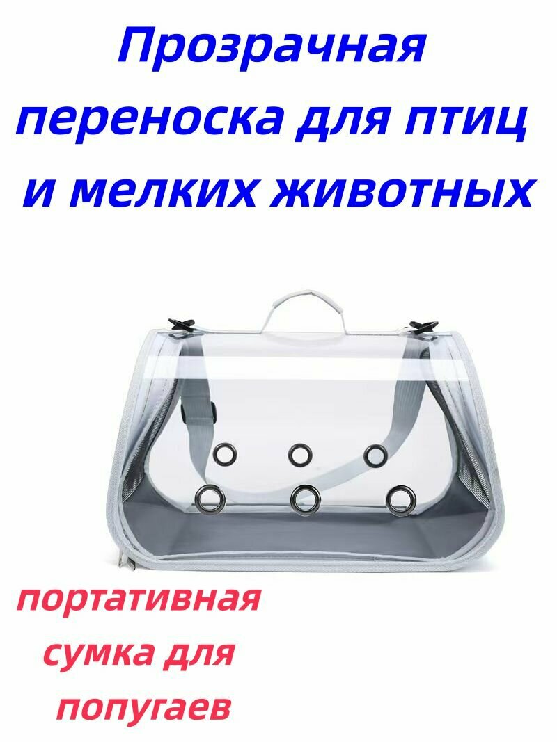 Прозрачная переноска для птиц и мелких животных, большая, портативная сумка для попугаев, кошек и собак