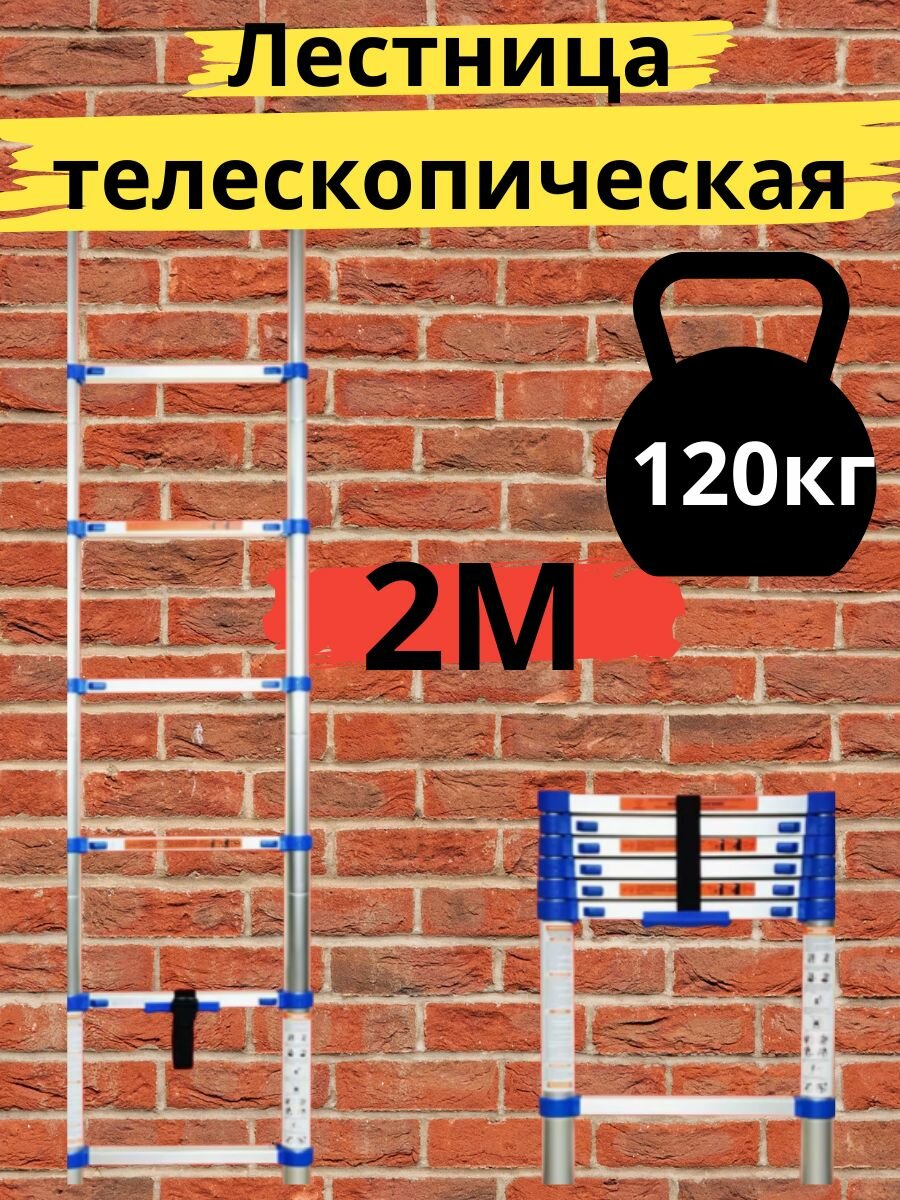 Лестница телескопическая синий/хром 7ст. 2м "MITTSU" М6820