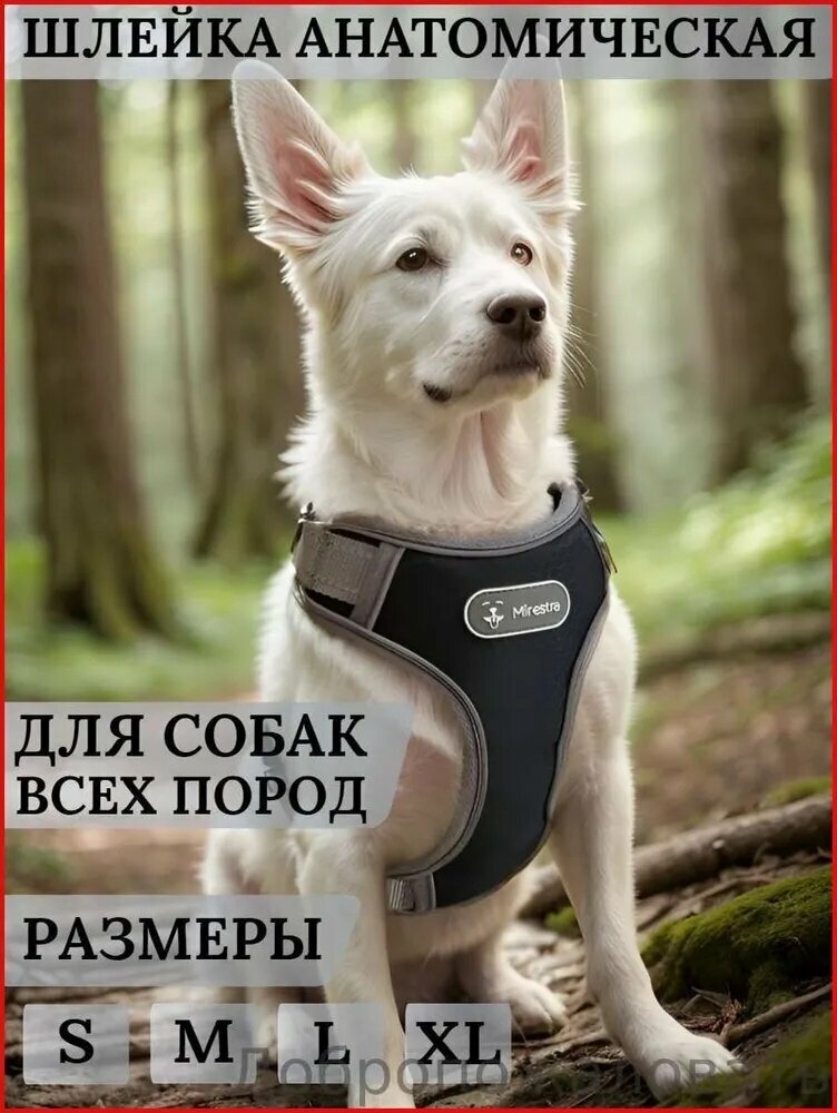 Анатомическая шлейка для собак средних и крупных пород Mirestra прогулочная светоотражающая
