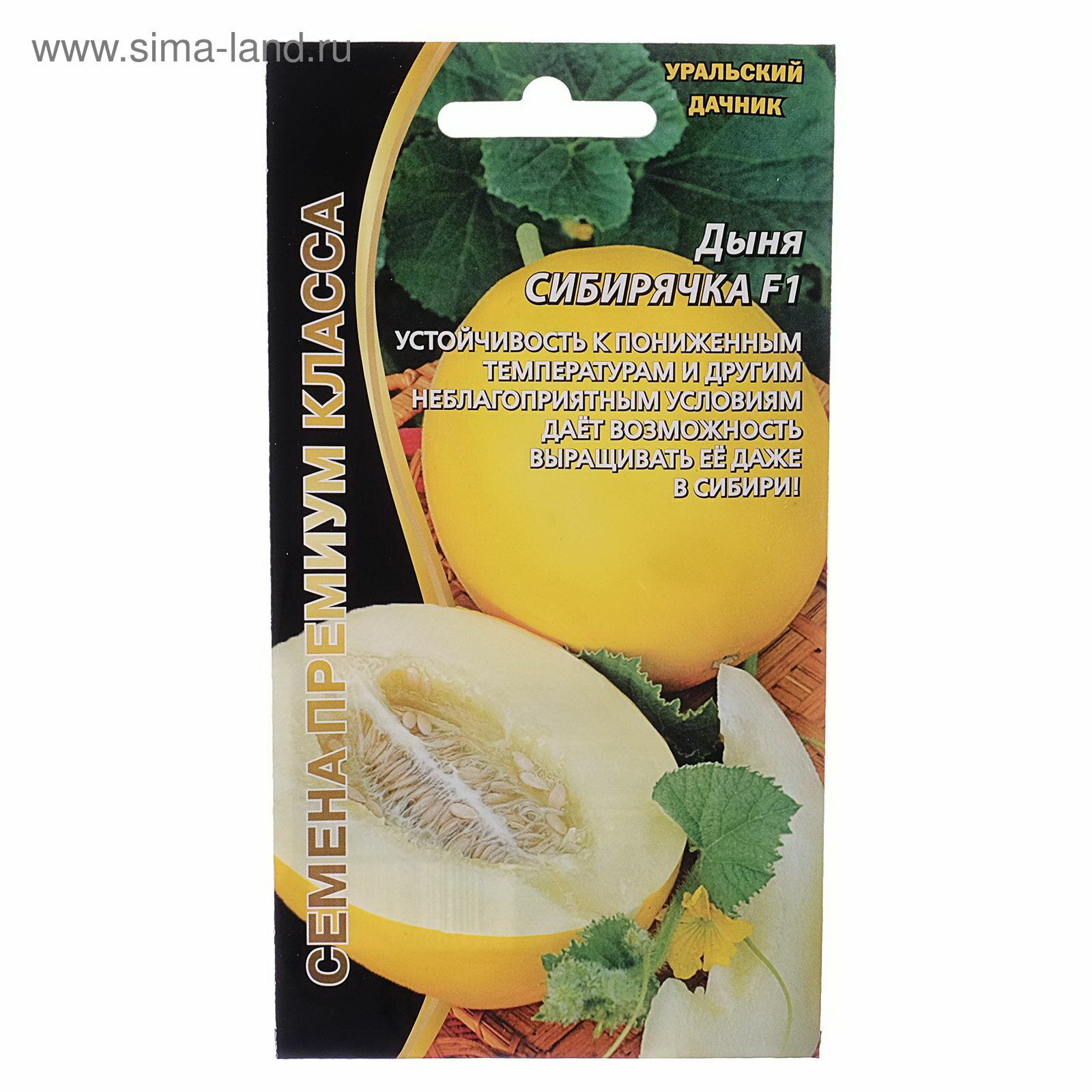 Семена дыня "Сибирячка F1", 10 шт, посев на рассаду: апрель