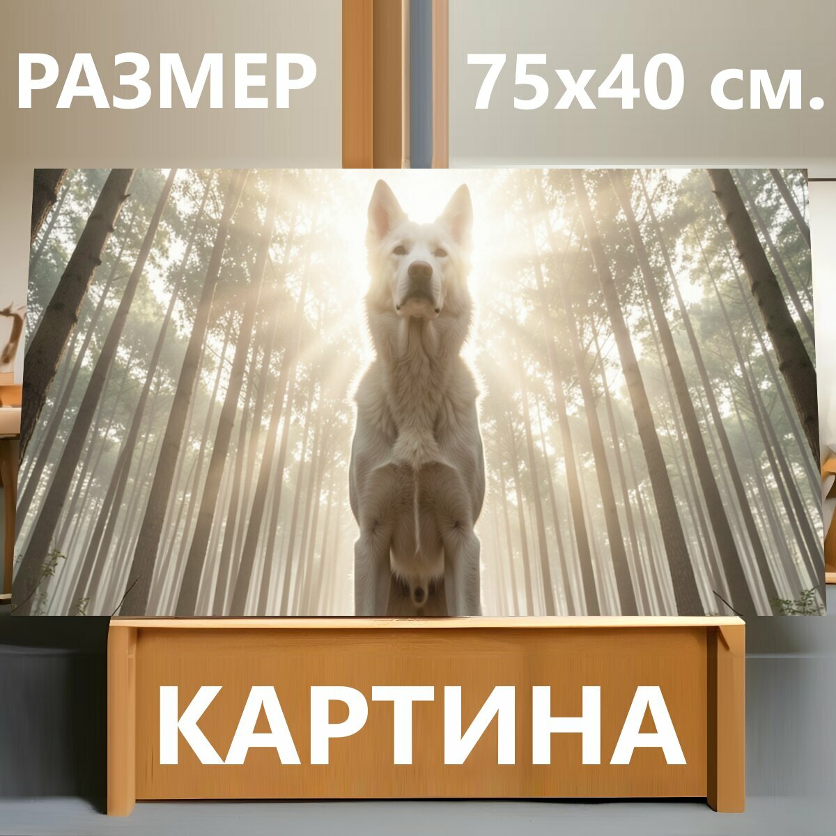 Картина на холсте "Белая собака в лесу. Светлый пёс стоит на лесной тропе среди высоких сосен, сквозь деревья пробиваются солнечные лучи и." на подрамнике 75х40 см. для интерьера